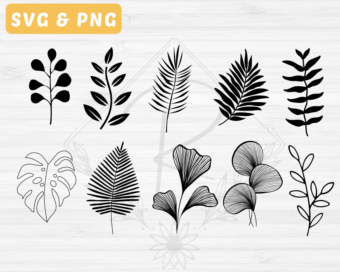 Leaves Svg Bundle 98 Leaves Svg Greenery Svg Leaf | Etsy