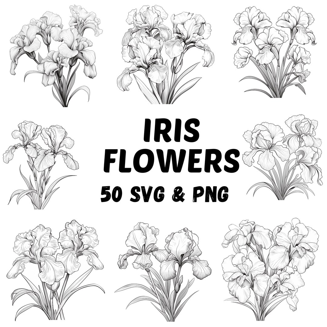 Iris Flower Svg Bundle | 50 Iris Flower Svg | Flower Svg | Floral Bundle Svg | Beautiful Flower ...