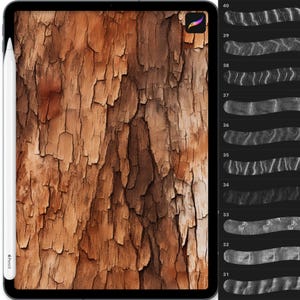 Procreate Tree Bark Texture Brushes | 100+ Procreate Texture Brushes ...