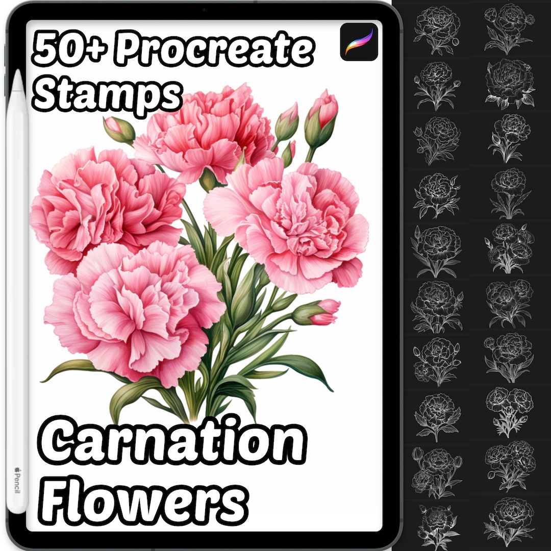 Carnation Flower Procreate Stamps | 50+ Procreate Floral Stamps ...