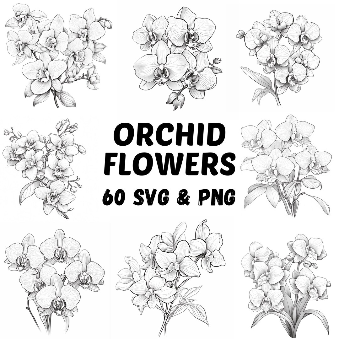 Orchid Flower Svg Bundle | 60 Orchid Flower Svg | Flower Svg | Floral ...