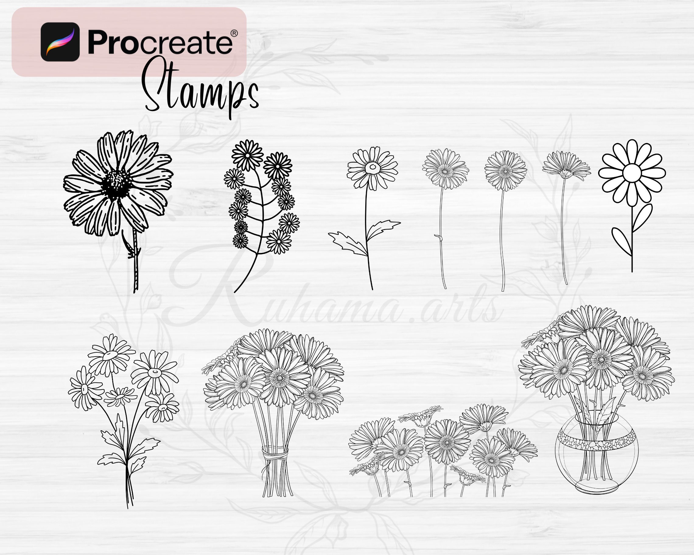 Daisy Procreate Stamps 60 Flower Procreate Stamps Botanical - Etsy