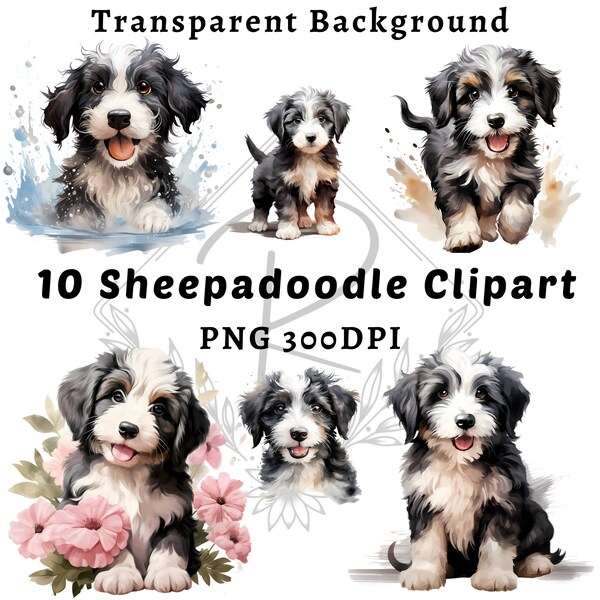 Sheepadoodle Clipart - Etsy