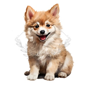 Pomsky Dog Breed Clipart| 10 High-quality PNG Watercolor Pomsky Dog ...