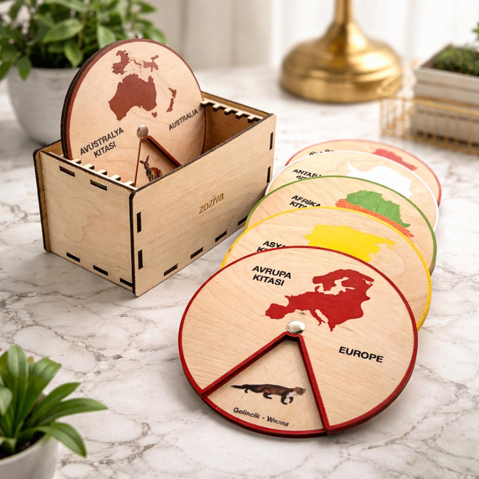 Learning Animals on Continents, 7 Continents Wheel and Box Set ...
