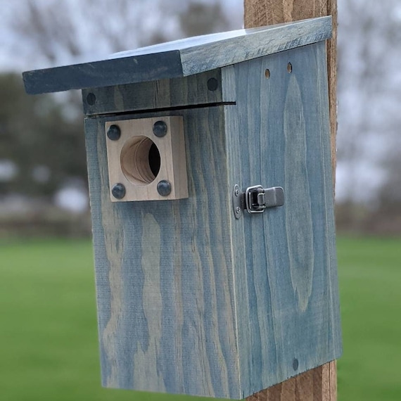 Bluebird and Tree Swallow Nesting Box Birdhouse - Etsy