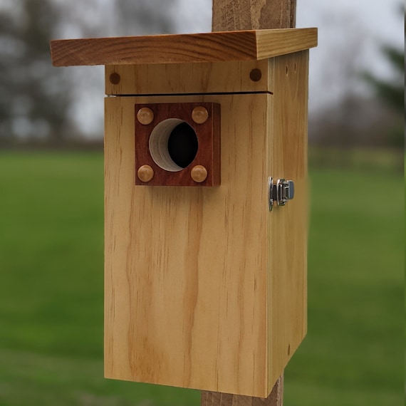 Bluebird and Tree Swallow Nesting Box Birdhouse | Etsy