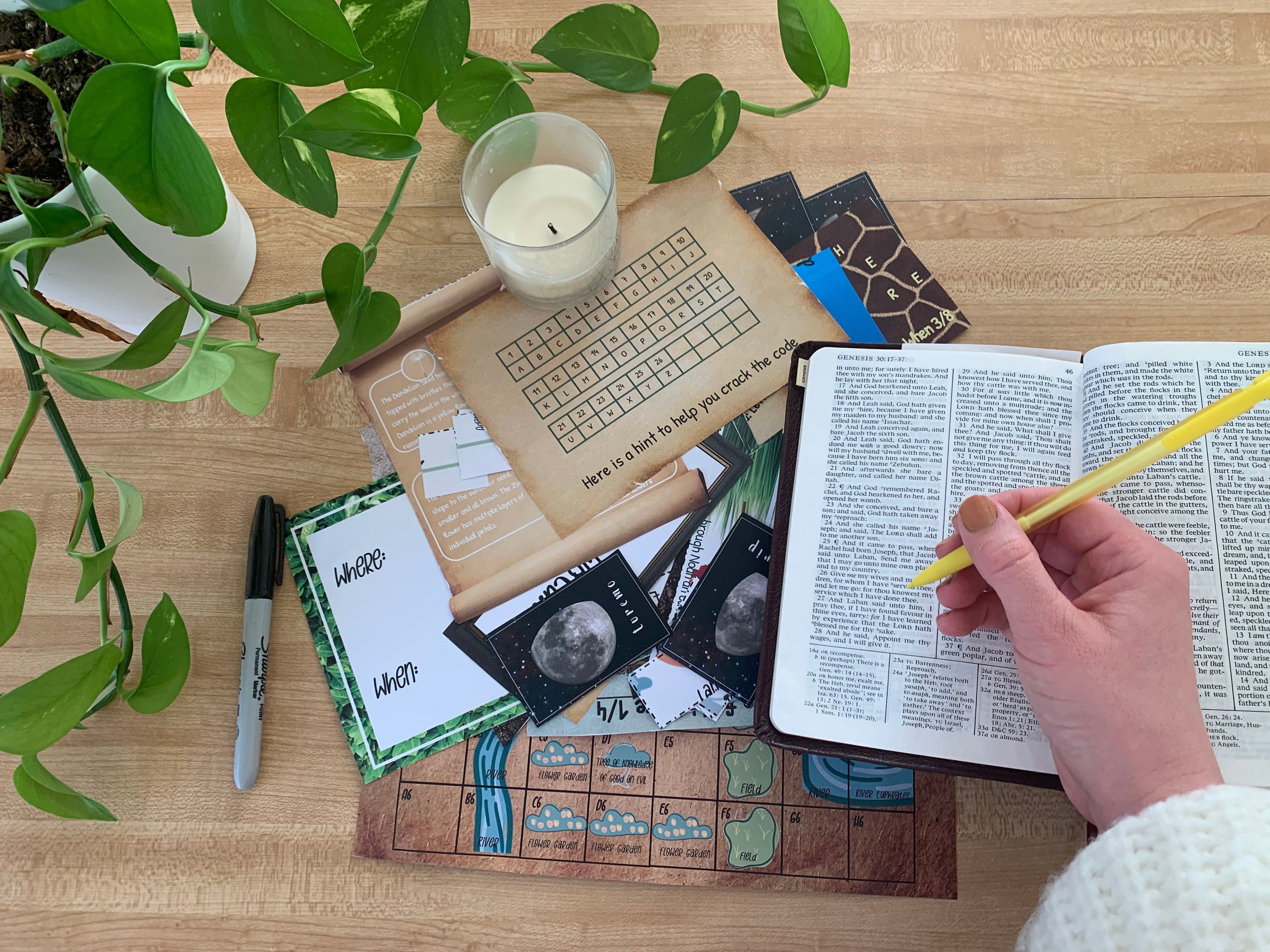 Bible Version - Physical Copy of Trouble in Eden - Etsy
