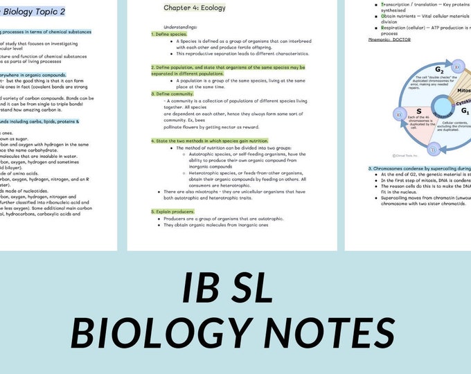 IB SL/HL Detailed History Notes Paper 2 3 International Baccalaureate ...