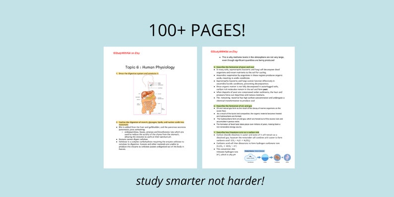 IB SL Biology Notes | Detailed Study Guide | International ...