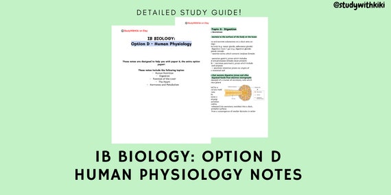 IB Biology Option D: Human Physiology Notes International - Etsy UK