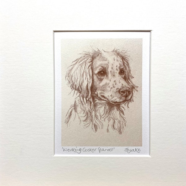 Cocker Spaniel Print - Etsy UK