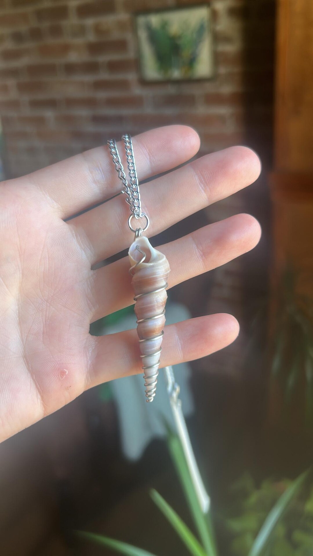 Spiral Shell Necklace (medium) - Etsy