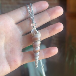 Spiral Shell Necklace (medium) - Etsy