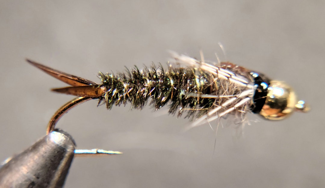 20-incher (stone Fly Nymph) - Etsy