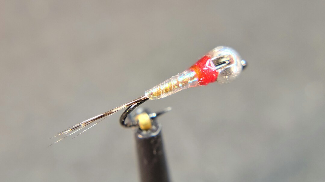 Perdigon Rainbow Warrior - Etsy