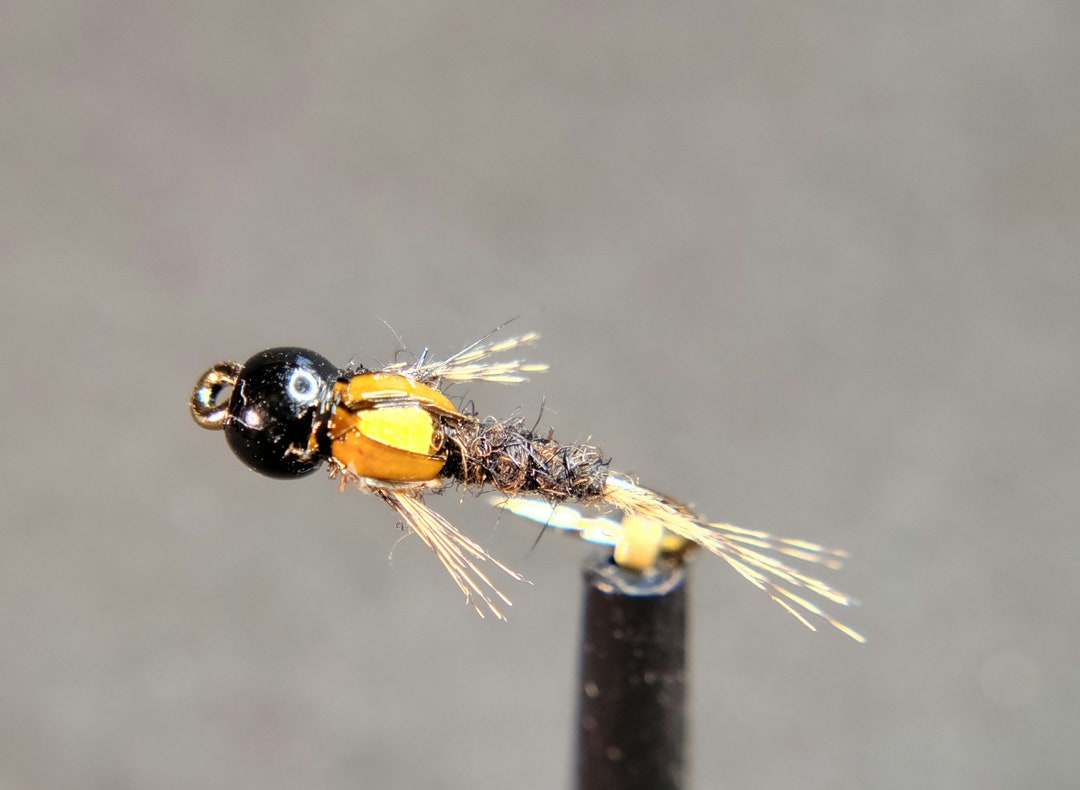 Split Case PMD Nymph - Etsy