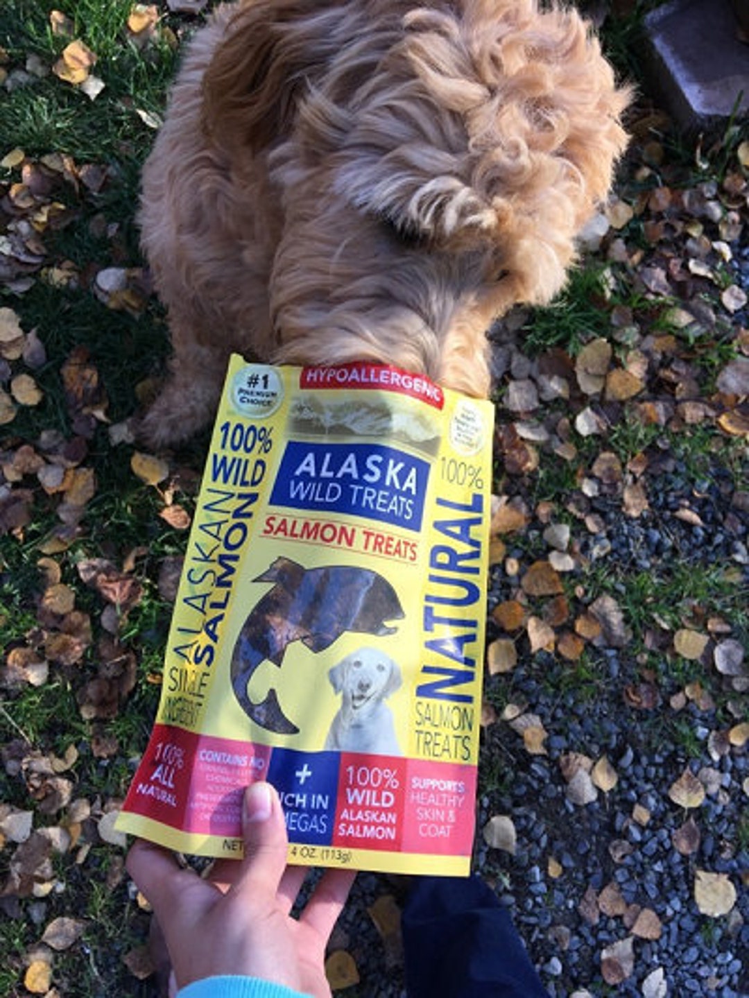 Alaska Wild Treats - Salmon Dog Treats - 12 Pack - Etsy
