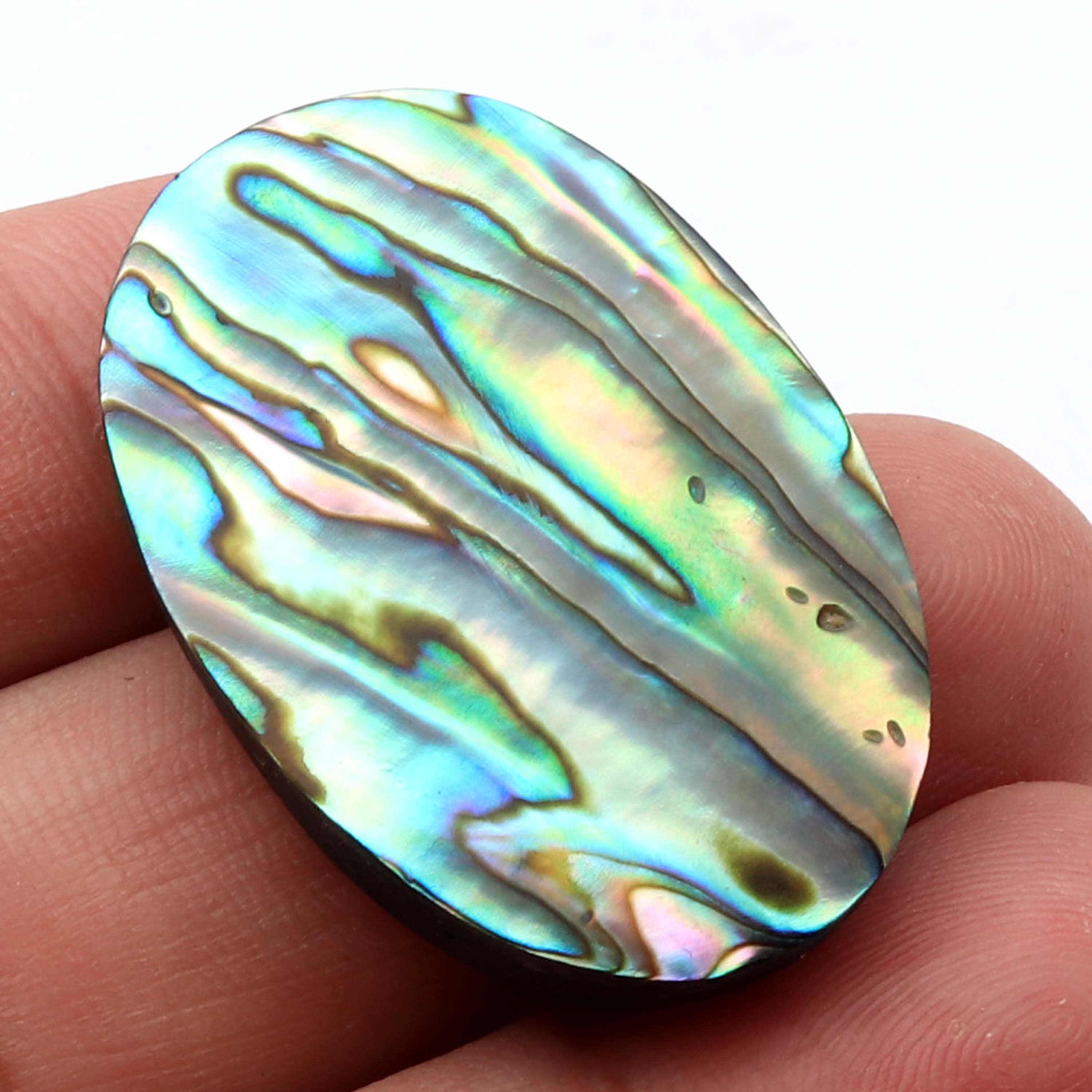 Top Grade Natural Abalone Shell Cabochon Abalone Shell | Etsy