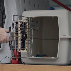 Airflow Mini - Dog Crate Fans - for Small & Toy Size Kennels - Etsy