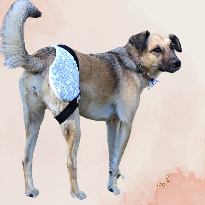 K9SurgerySleeves - Etsy