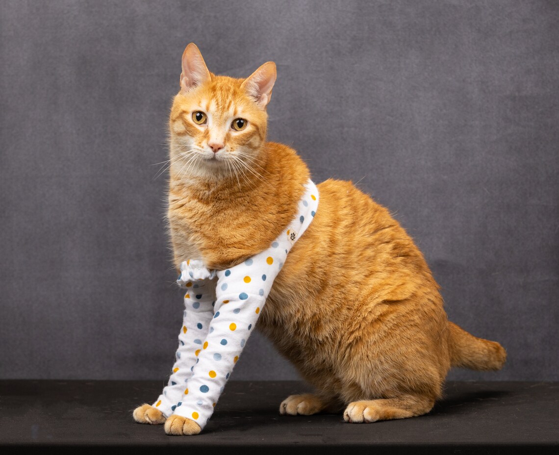 Front Leg Protection/cone Alternative/no Lick Sleeves Cat - Etsy