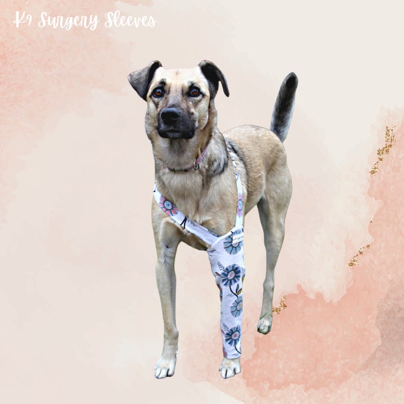 Front Leg Protection/cone Alternative/elbow Padding/no Lick - Etsy