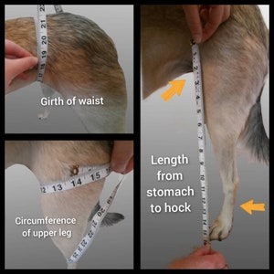 Rear/hind Leg Protection/cone Alternative/no Lick - Etsy