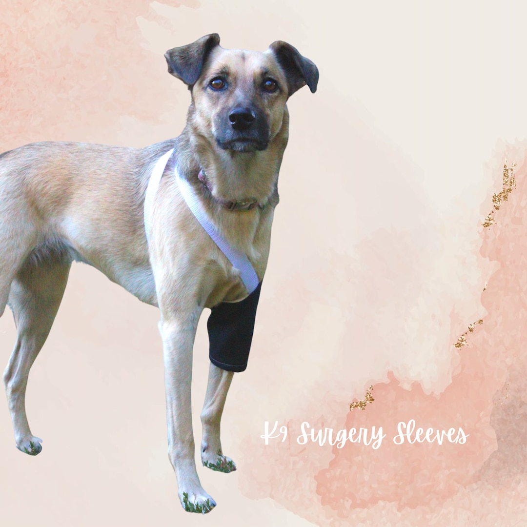 Tough Elbow Padding/no Lick Sleeve/hygroma/callus Protector - Etsy