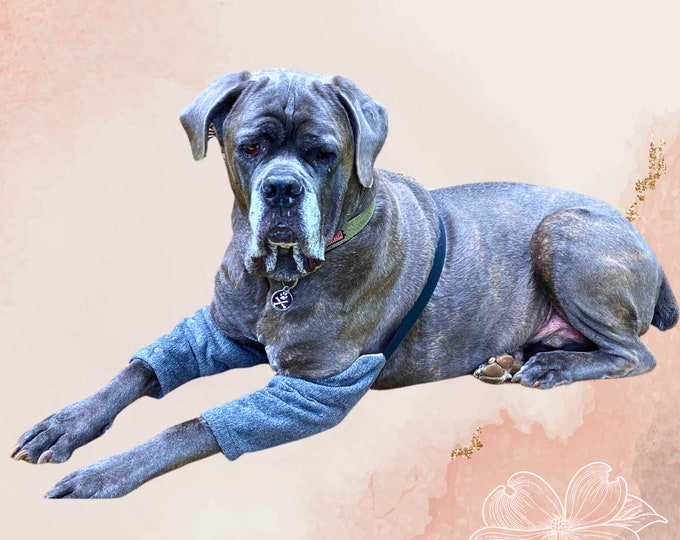 Large Breed Extra Tough Elbow Protection/front Leg Protection/callous ...