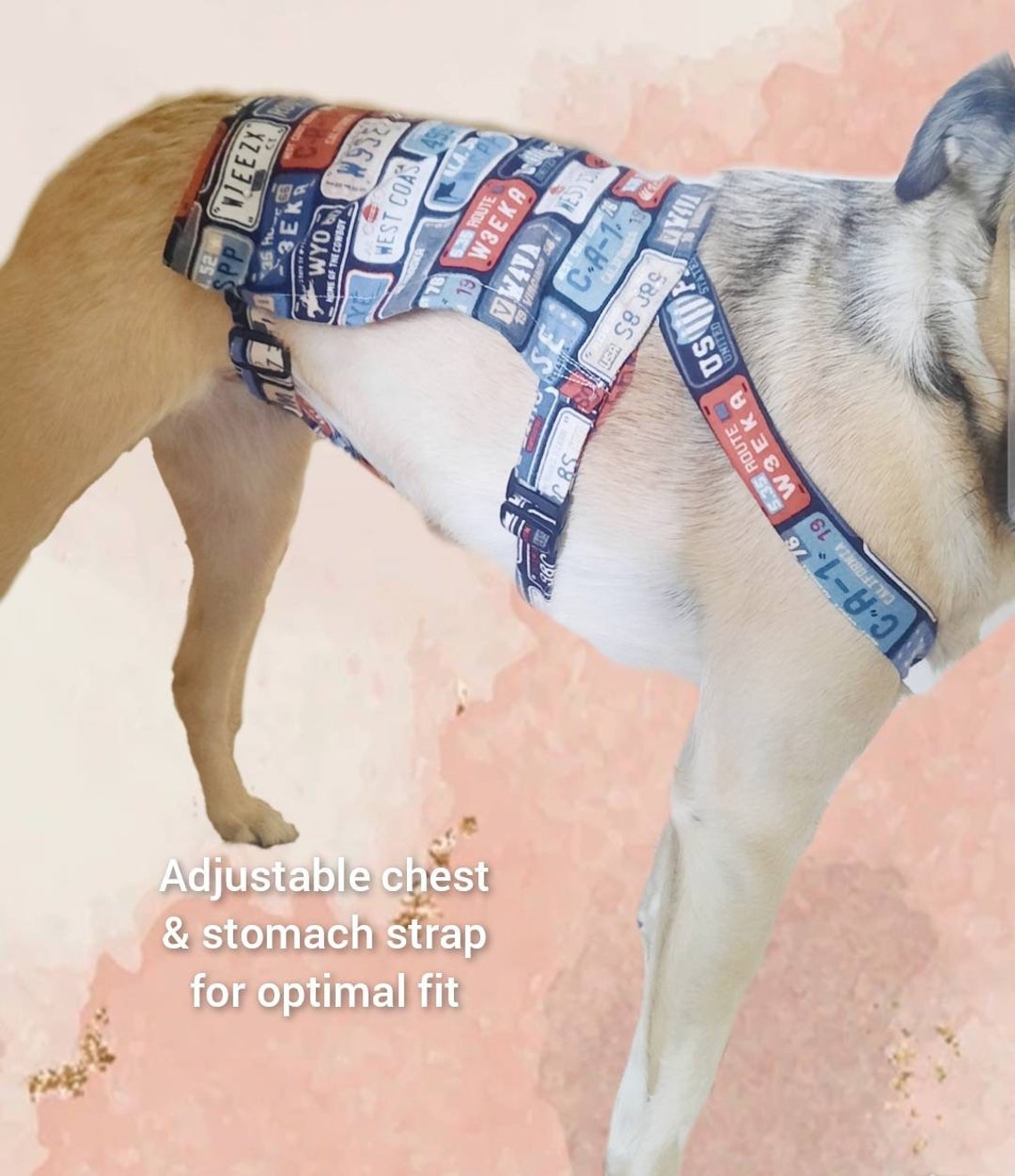 Abdominal Surgery Cover/spay Sleeve/no Lick Sleeve/surgery - Etsy