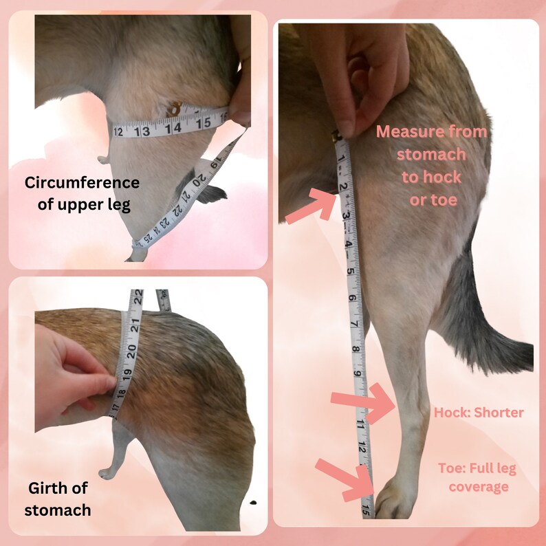 Rear/hind Leg Protection/cone Alternative/no Lick - Etsy