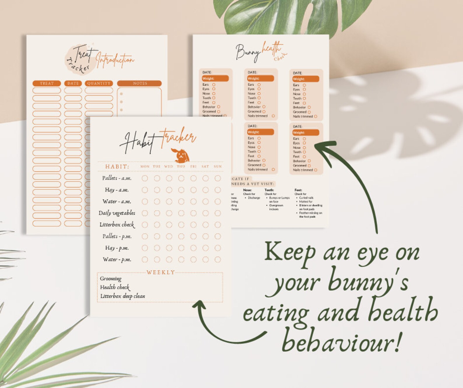 Habit Tracker for Rabbit Keepers New Treat Checklist Bunny - Etsy