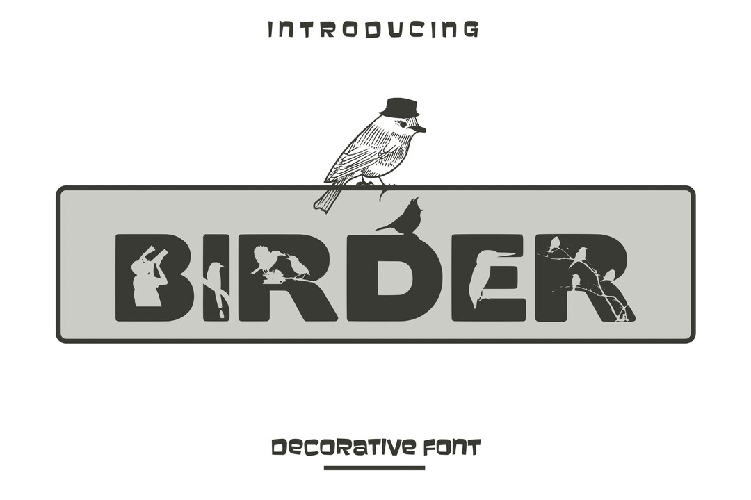 Digital Font, Birder Font, Font for Download, Font for T-shirt, Display ...