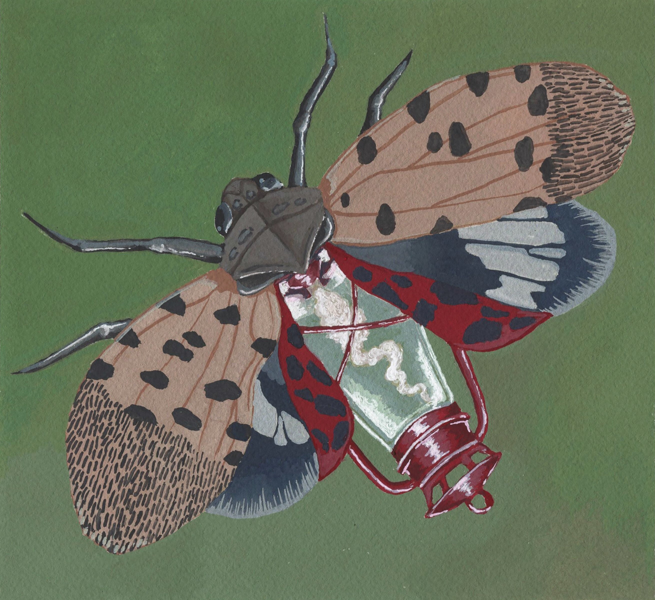 Spotted Lanternfly Art Print - Etsy