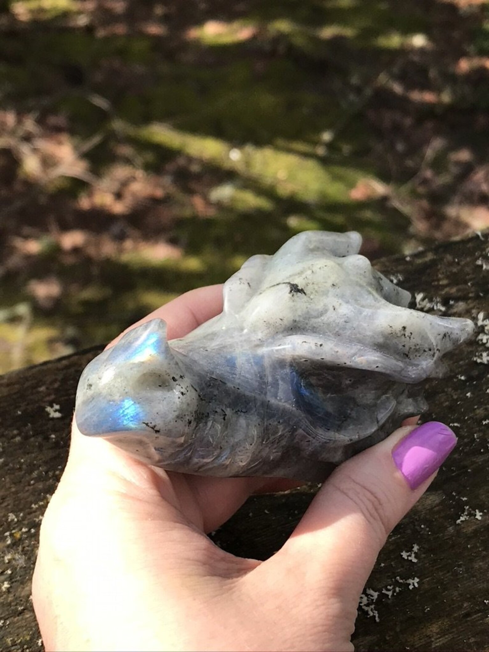 Labradorite Dragon Head for Transitions, 3.5 Inch, Exact Item as ...