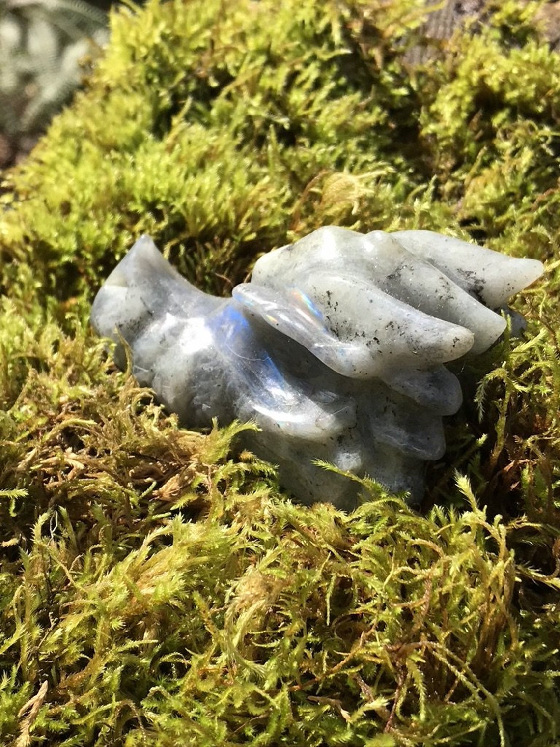 Labradorite Dragon Head for Transitions, 3.5 Inch, Exact Item as ...