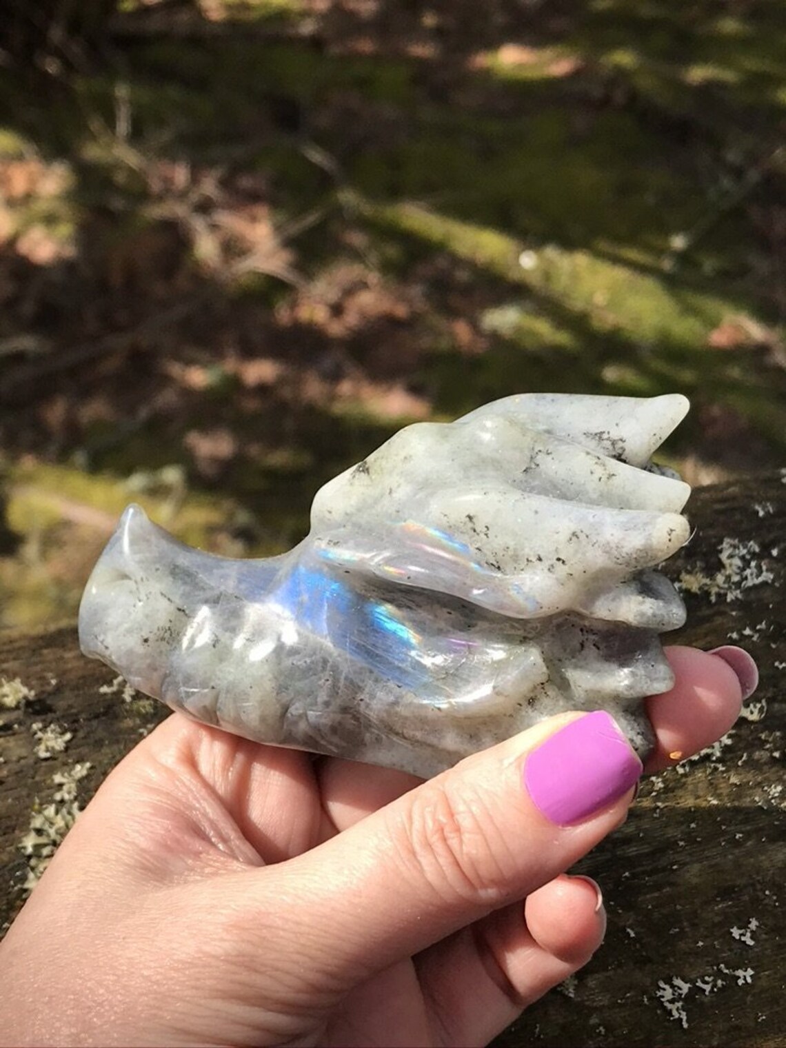 Labradorite Dragon Head for Transitions, 3.5 Inch, Exact Item as ...