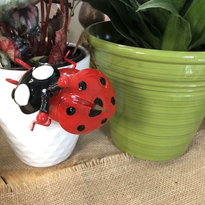 Spring Time pot Percher ladybug New Add Flare to Your Potted Plants or ...