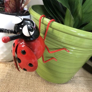 Spring Time pot Percher ladybug New Add Flare to Your Potted Plants or ...