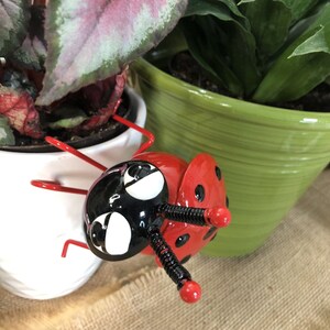 Spring Time pot Percher ladybug New Add Flare to Your Potted Plants or ...