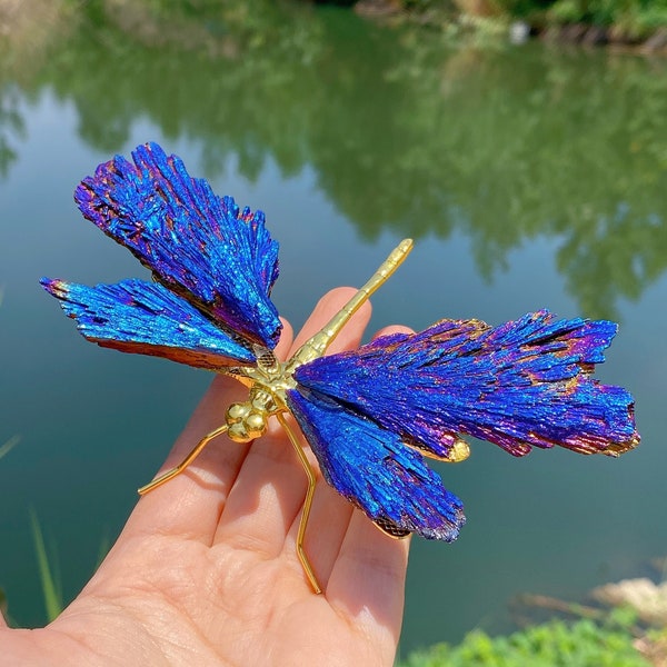 Dragonfly Gifts - 60+ Gift Ideas for 2024