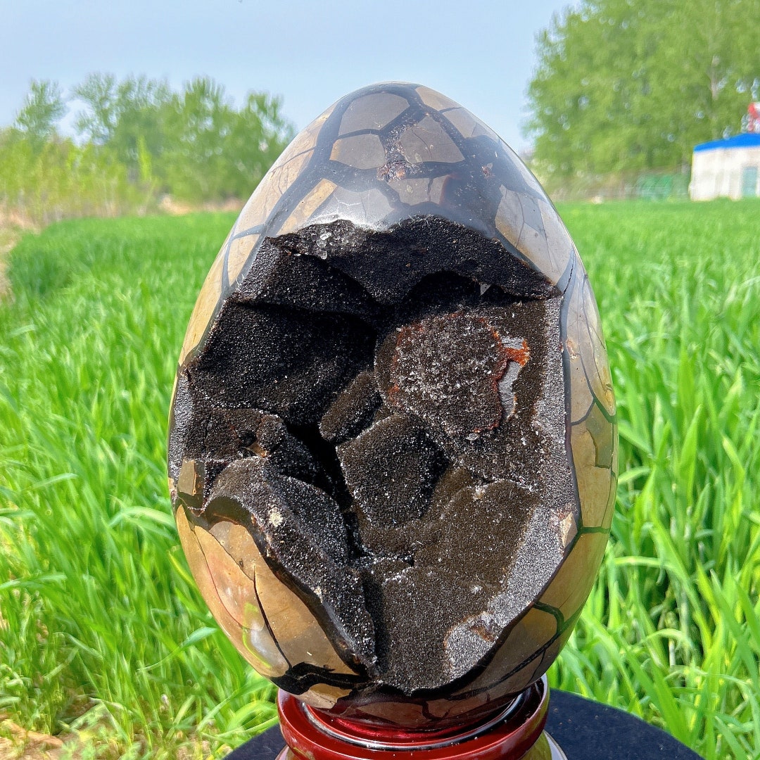 34.5LB Natural Septarium Egg Geode, Dragon Septarian Egg,crystal Quartz ...