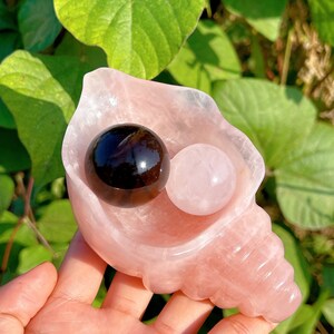 Hand Made Rose Quartz Conch,quartz Crystal Shell,mineral Specimen,home ...