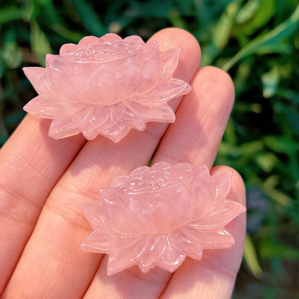 Flower Rose Lotus - Etsy
