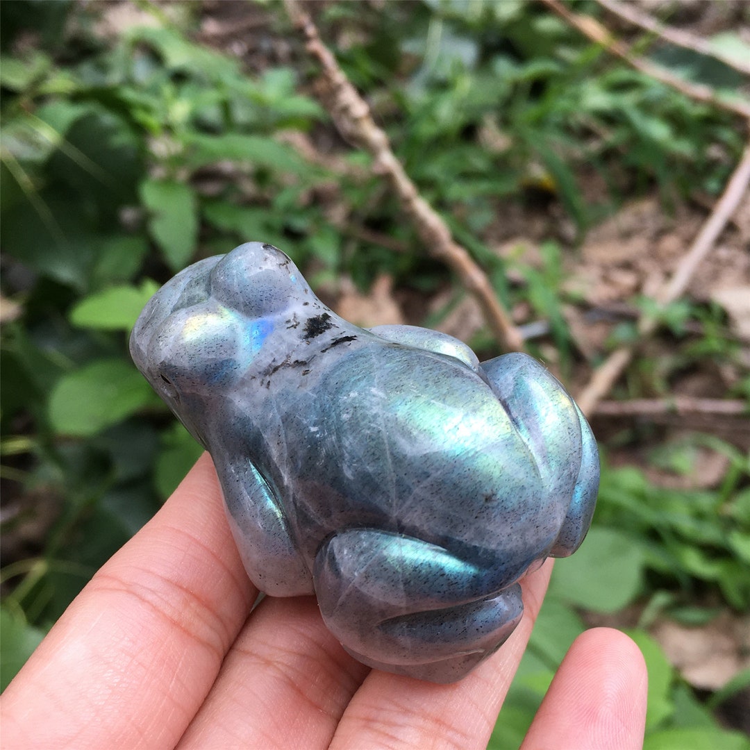 1PC Natural Labradorite Frog,quartz Crystal Frog,crystal Carved,mineral ...