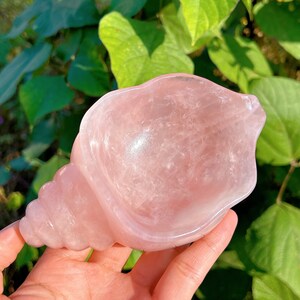 Hand Made Rose Quartz Conch,quartz Crystal Shell,mineral Specimen,home ...