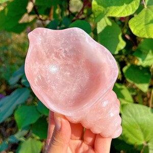 Hand Made Rose Quartz Conch,quartz Crystal Shell,mineral Specimen,home ...