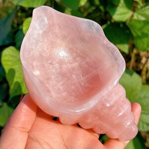 Hand Made Rose Quartz Conch,quartz Crystal Shell,mineral Specimen,home ...