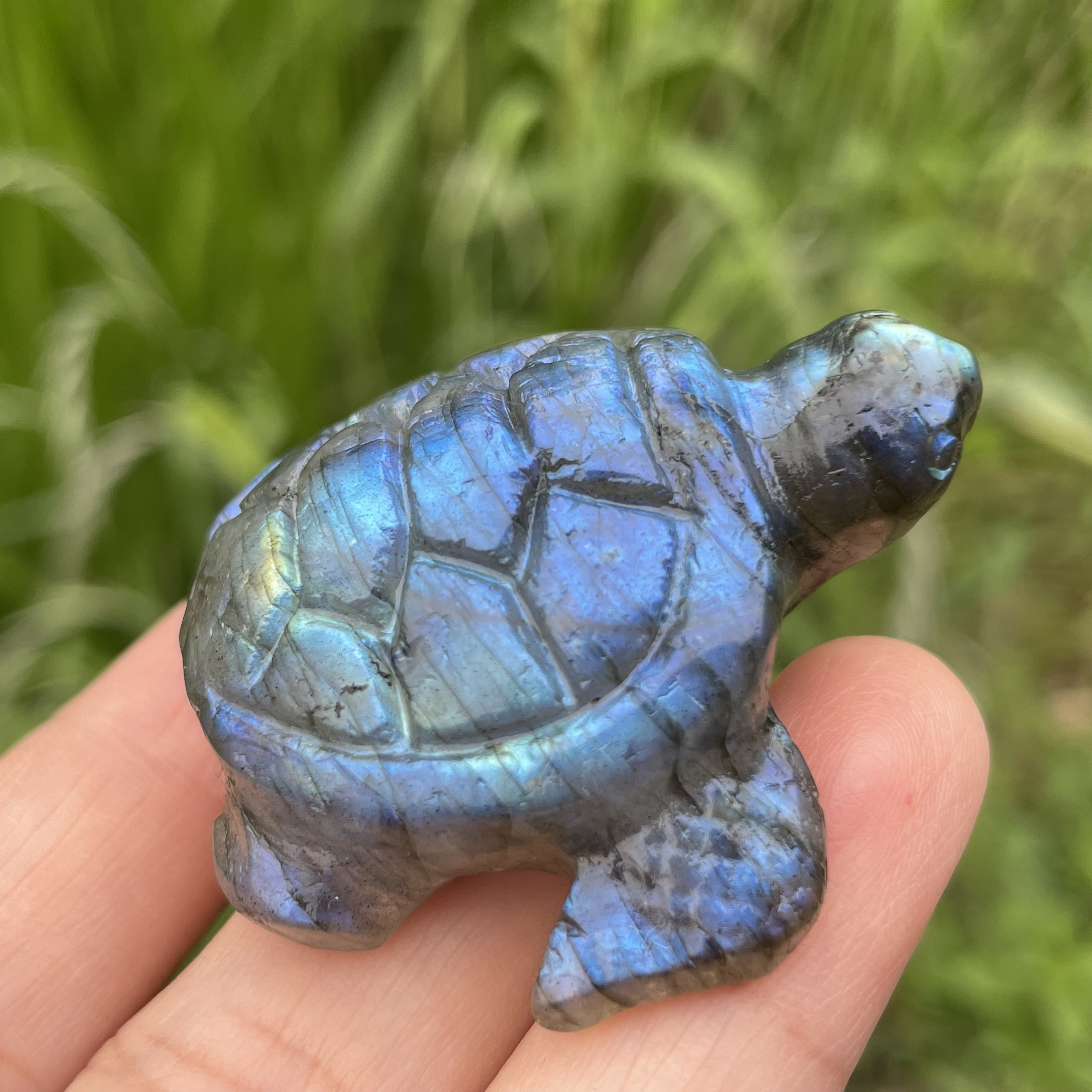 Natural Labradorite Turtlequartz Crystal Turtlehand - Etsy